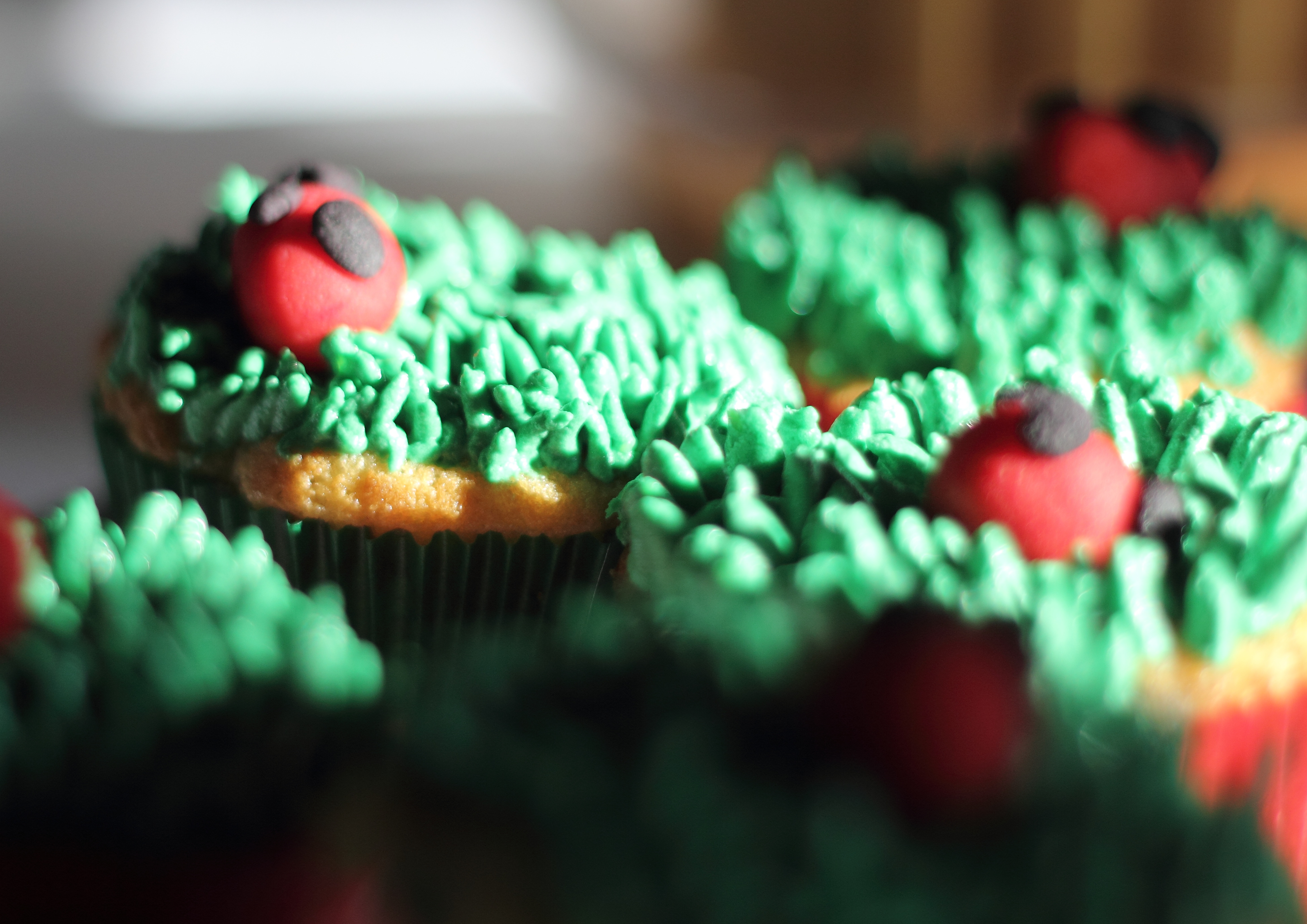 Ladybug cupcakes